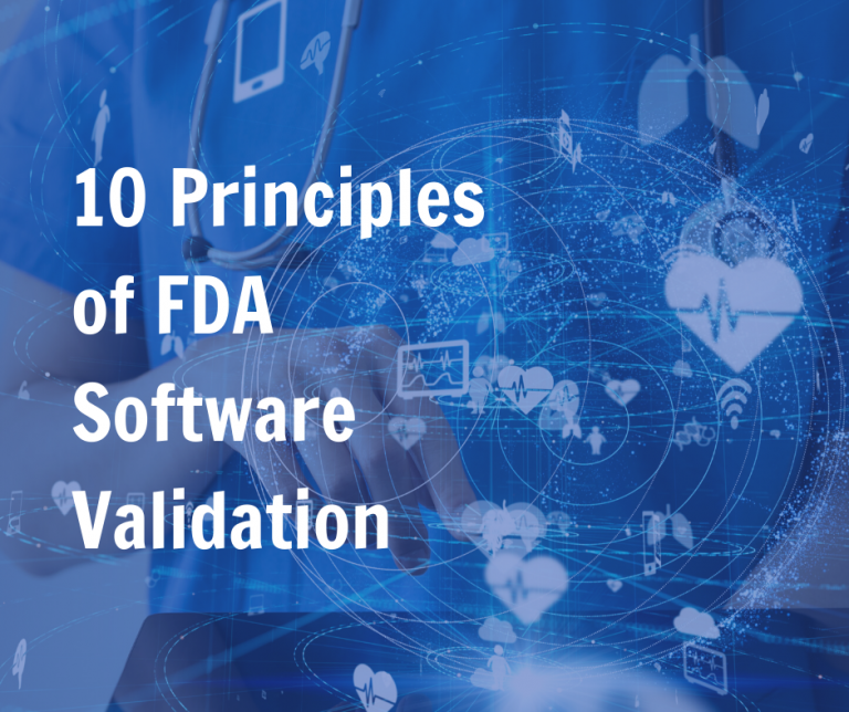 Free White Paper: 10 Principles of FDA Software Validation - Logan Consulting