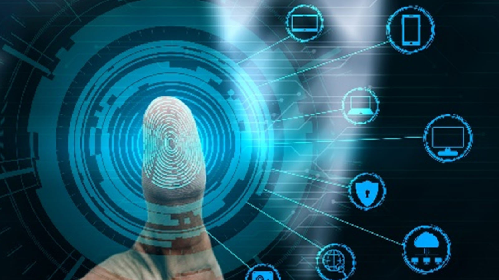 How to Avoid Data Misuse and Internal Fraud with Microsoft Dynamics 365 ...